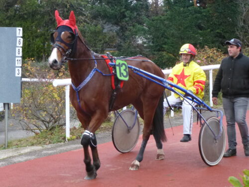 Faites-vous cette erreur comme 90% des turfistes ? - MieuxJouerAuTurf.Pro