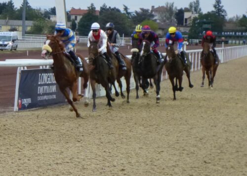 Comment jouer 8 chevaux au quinté ? - MieuxJouerAuTurf.Pro